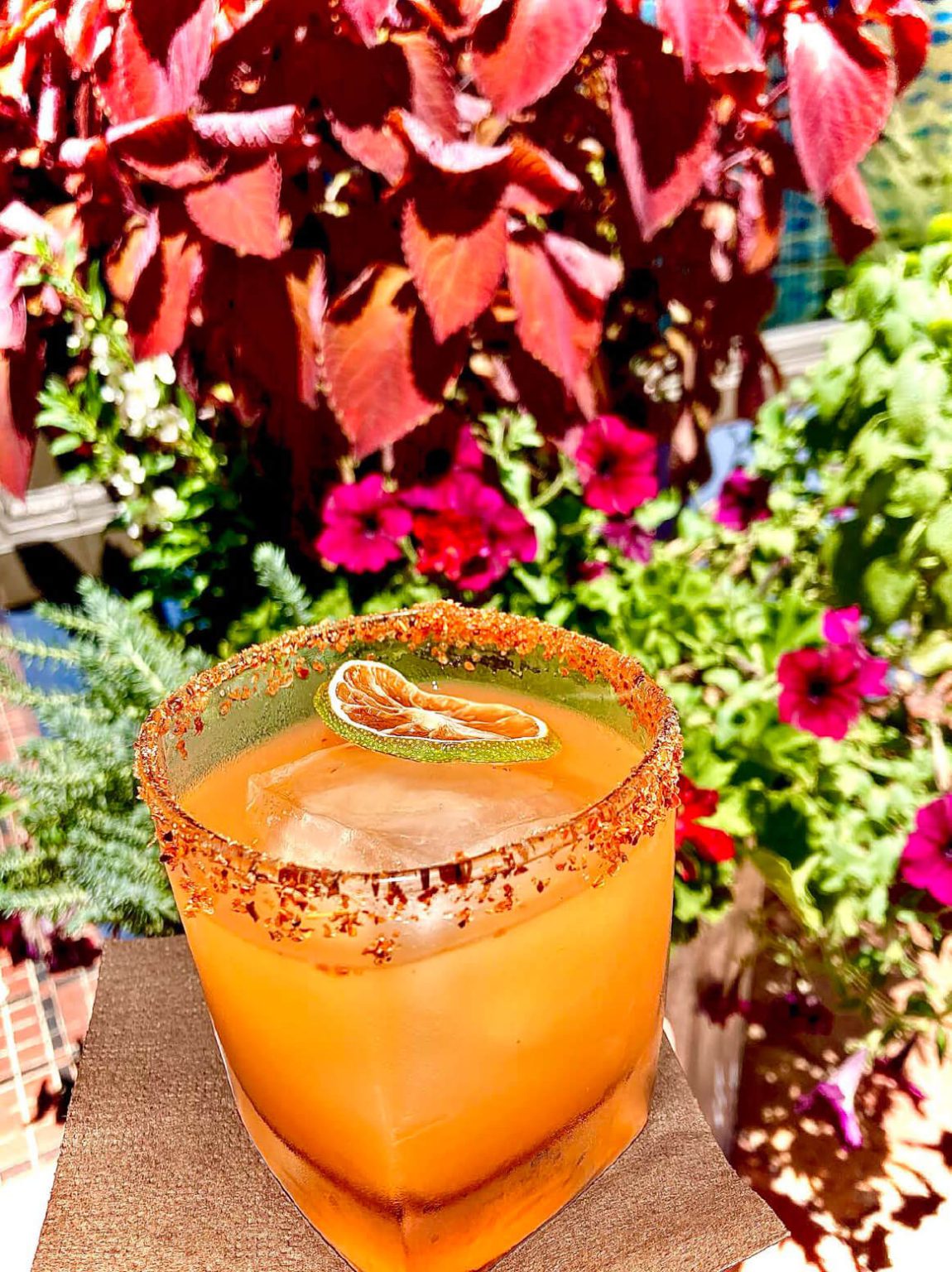 Fee Foam Cocktail Foam | Fee Brothers