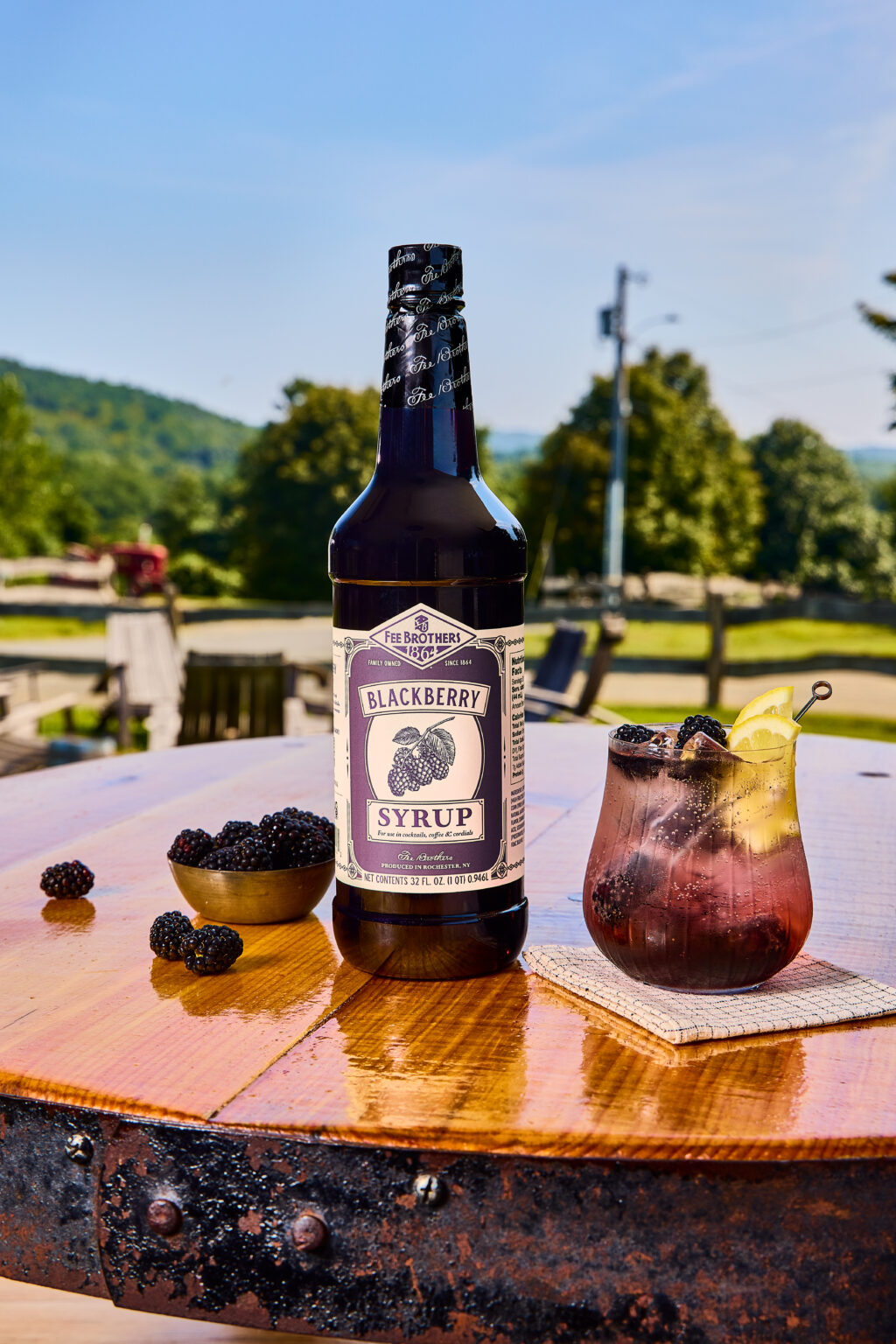 Blackberry Syrup | Fee Brothers