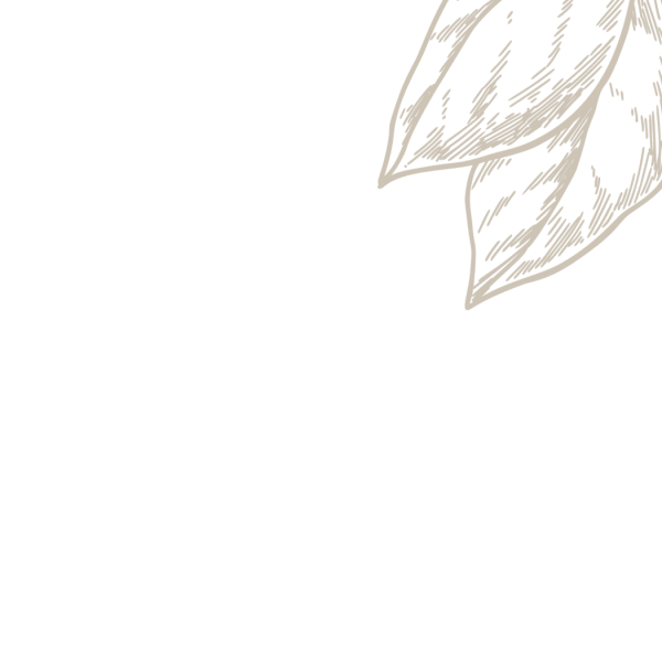 Fee Foam Cocktail Foam | Fee Brothers